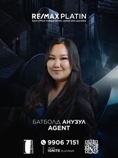 RE/MAX Platin